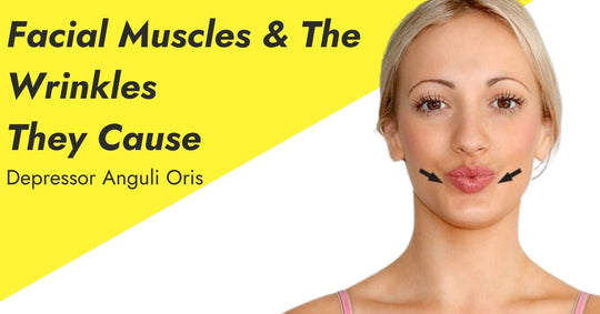 Facial Muscles & The Wrinkles They Cause: Depressor Anguli Oris – 7E ...